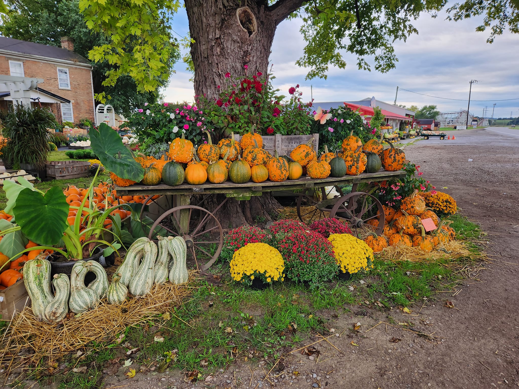 Fall Family Fun Weekends – Brown's Family Farm Market