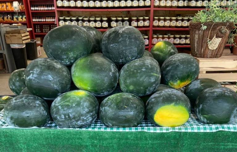 Brown's Family Farm Market – Family owned and operated for over 31 Years!
