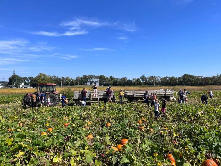 Brown's Family Farm Market – Family owned and operated for over 31 Years!