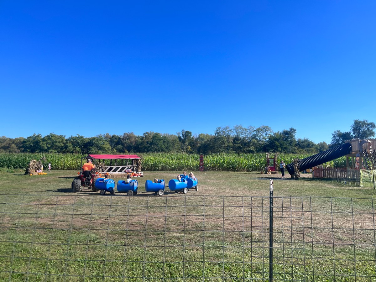 Brown's Family Farm Market – Family owned and operated for over 31 Years!