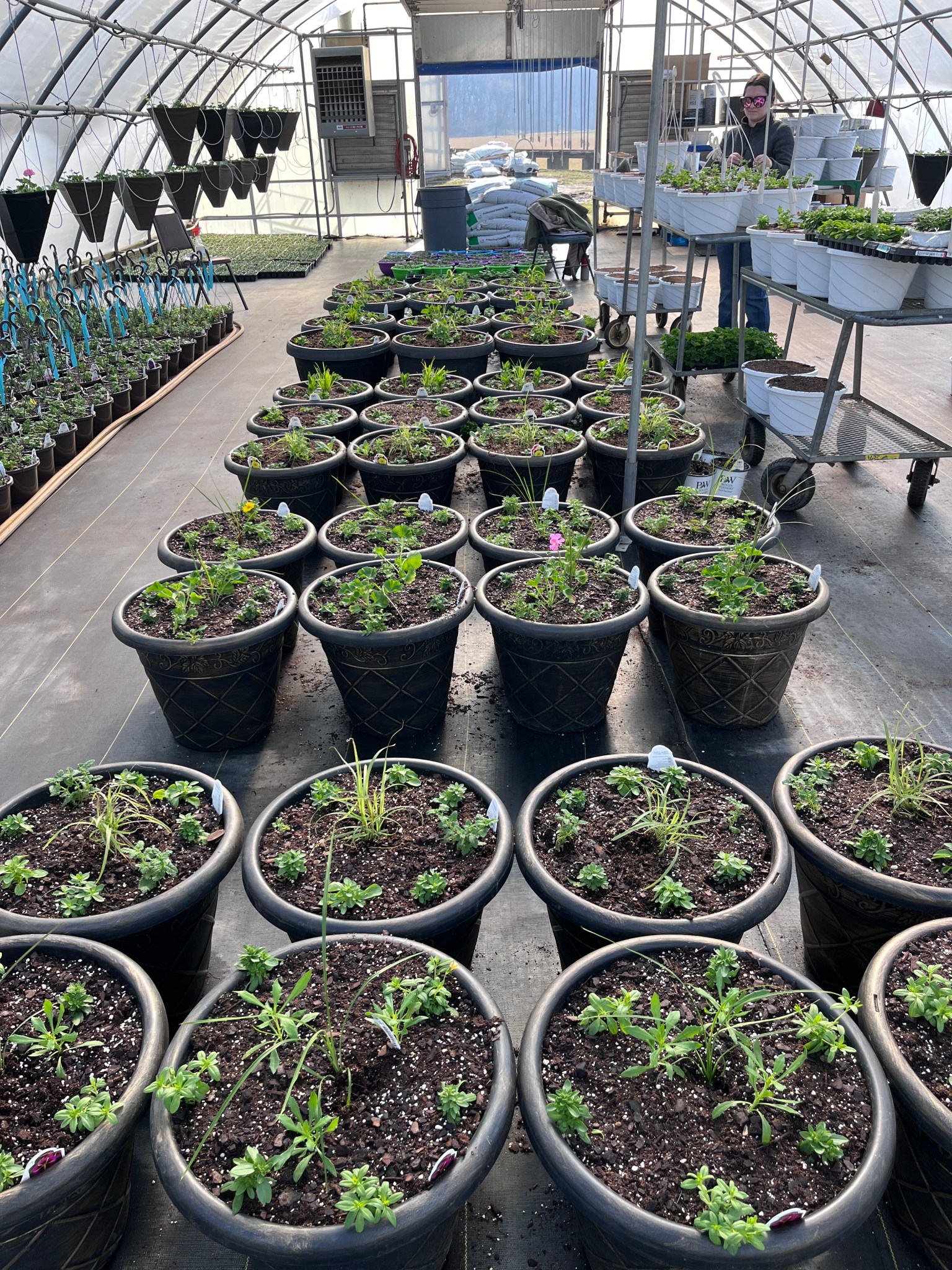 Brown's Family Farm Market – Family owned and operated for over 31 Years!