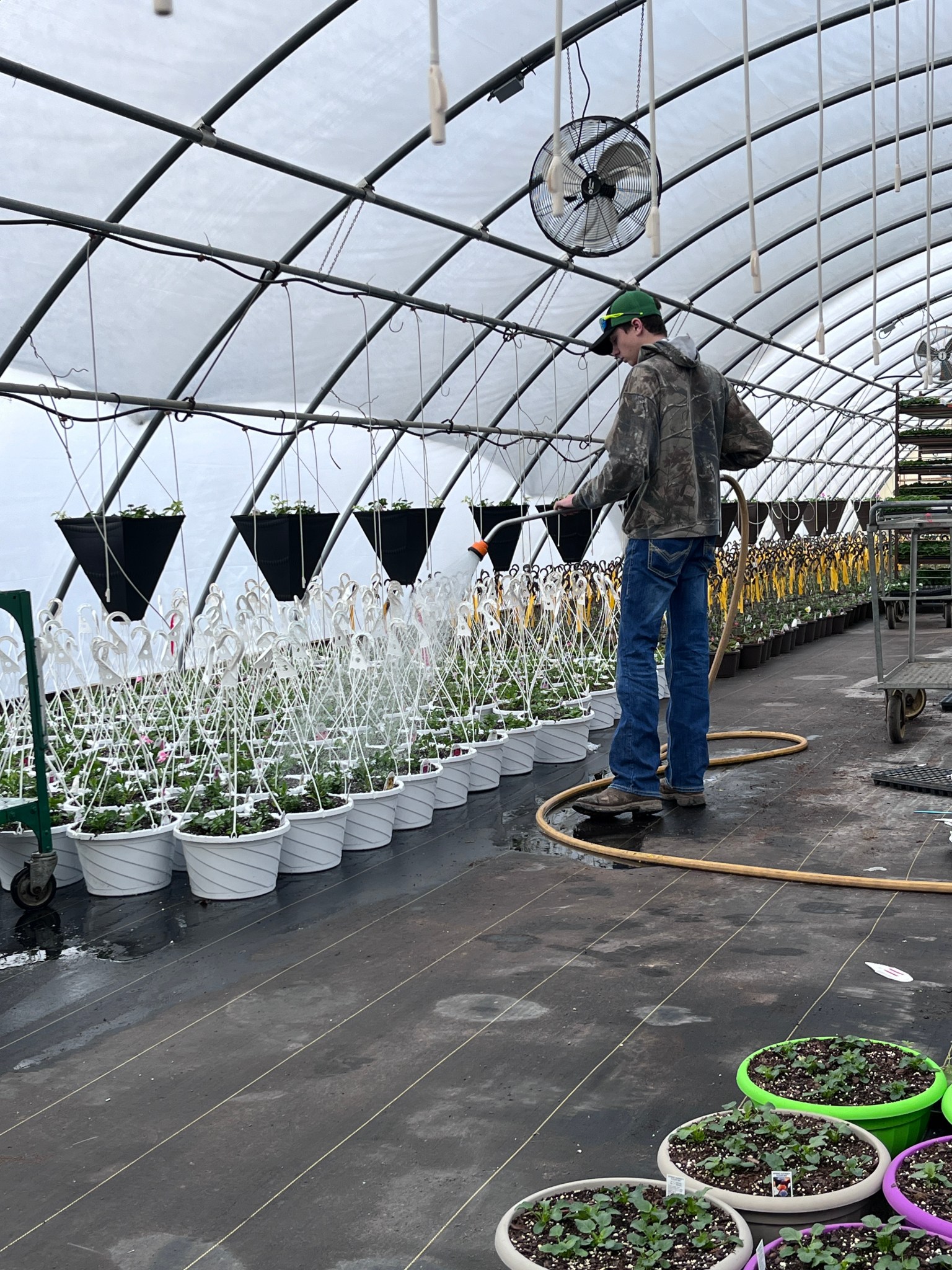 Brown's Family Farm Market – Family owned and operated for over 31 Years!