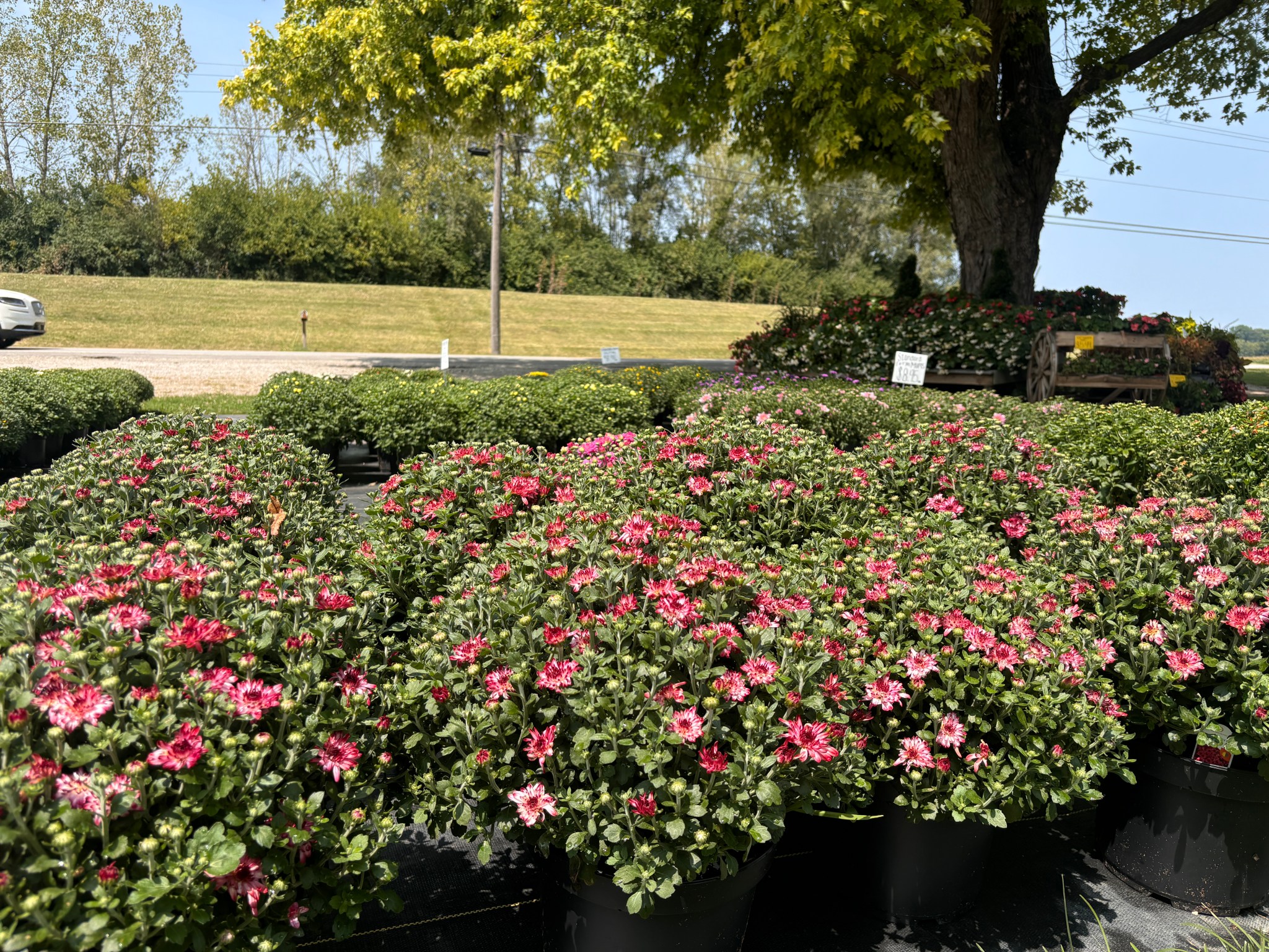 Brown's Family Farm Market – Family owned and operated for over 31 Years!